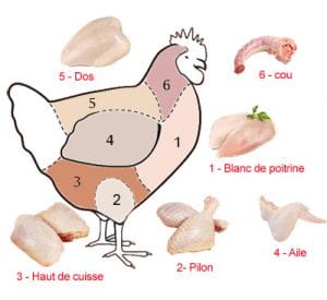 Protéine poulet : explications