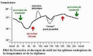 Température du corps : tout savoir sur ce phénomène